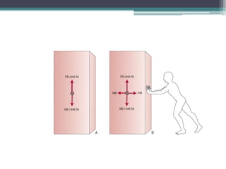 Introduction to kinesiology (Biomechanics- Physiotherapy) | PPTX