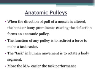 Introduction to kinesiology (Biomechanics- Physiotherapy) | PPTX