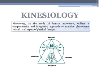 Introductiontokinesiologylecture1part1.pptx