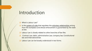 Introduction to Labour Law 2024 CIN2206.pptx