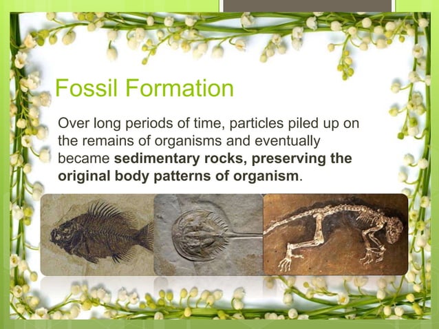 The Historical Development of the Concept of Life | PPTX