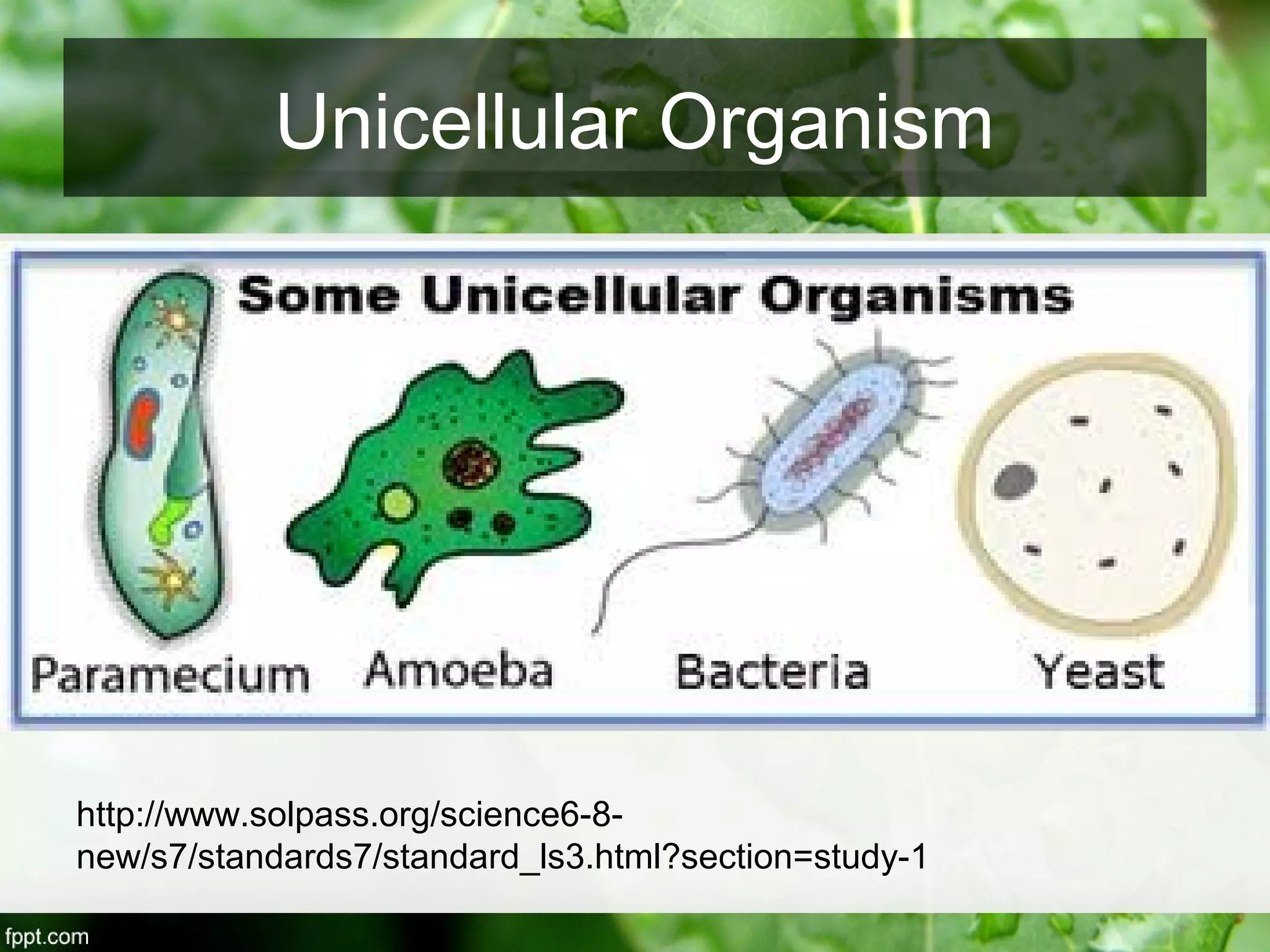 Introduction to life science | PPT