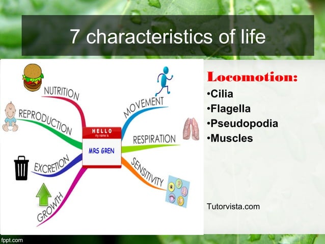 Introduction to life science | PPT | Biological Sciences | Science