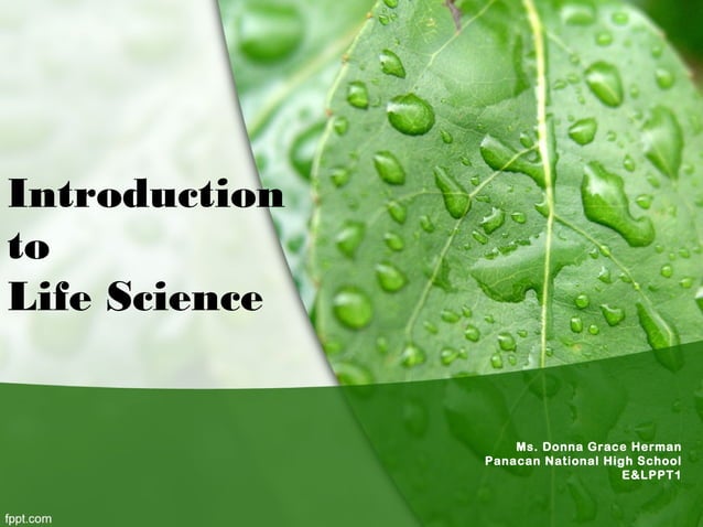 Introduction to life science | PPT | Biological Sciences | Science