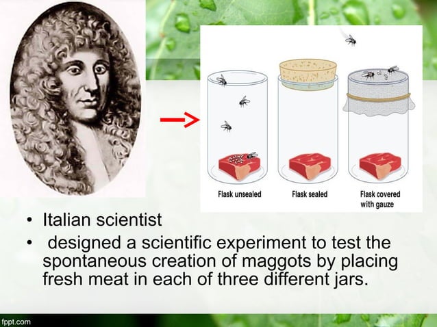 Introduction to life science | PPT | Biological Sciences | Science