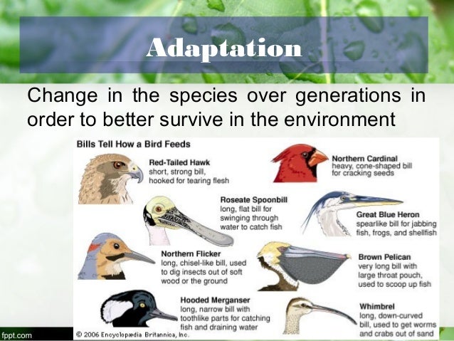 Introduction to life science