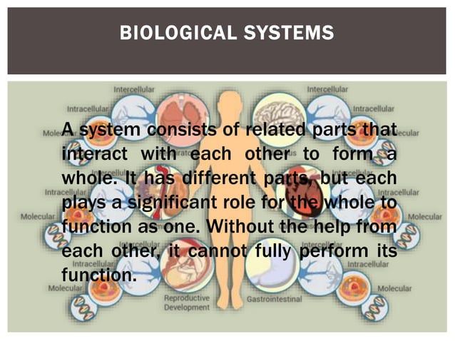 Introduction to life science Grade 11 | PPTX | Biological Sciences ...