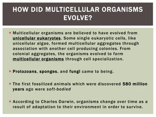 Introduction to life science Grade 11 | PPTX