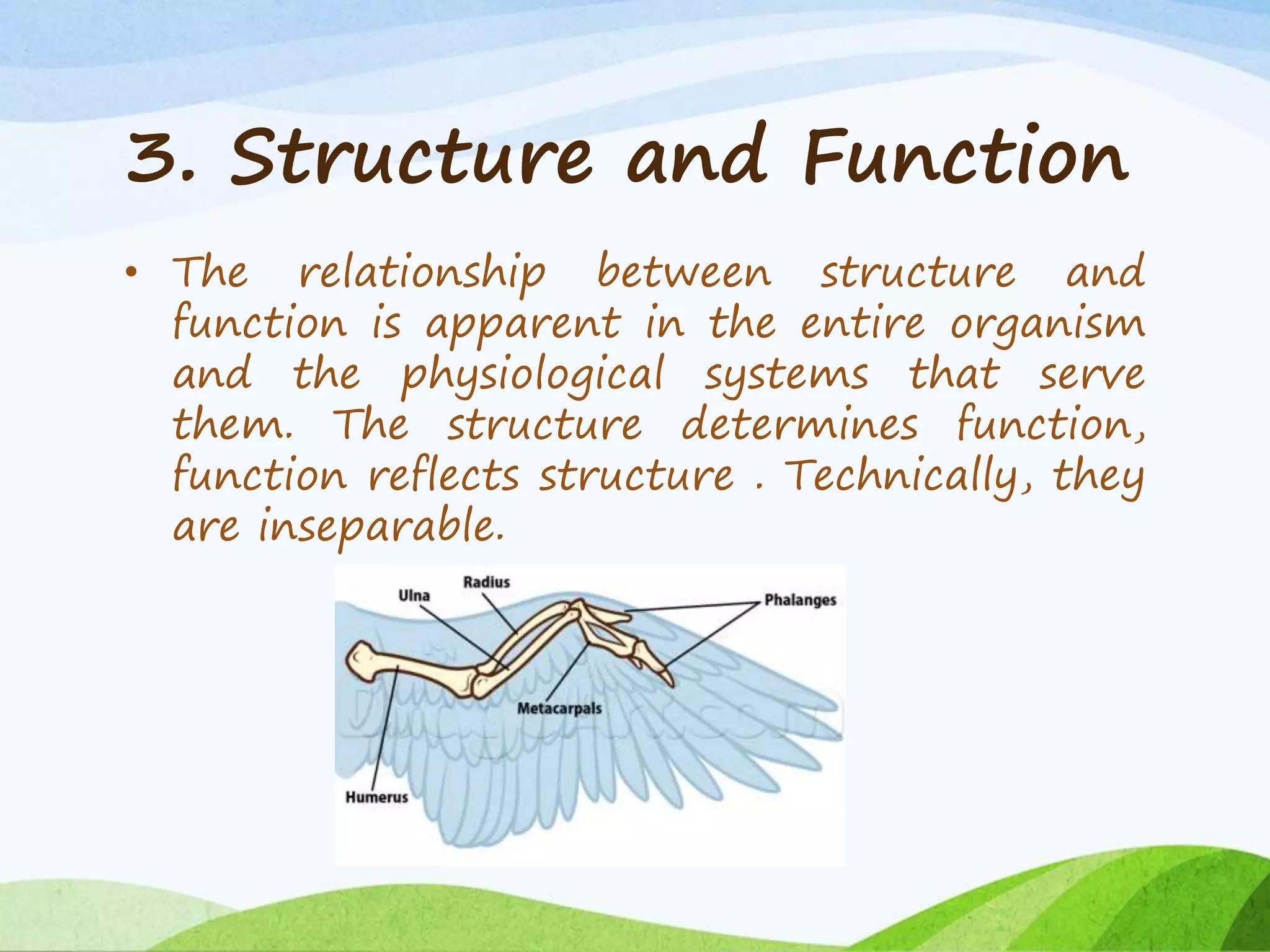 Introduction to life science | PPTX