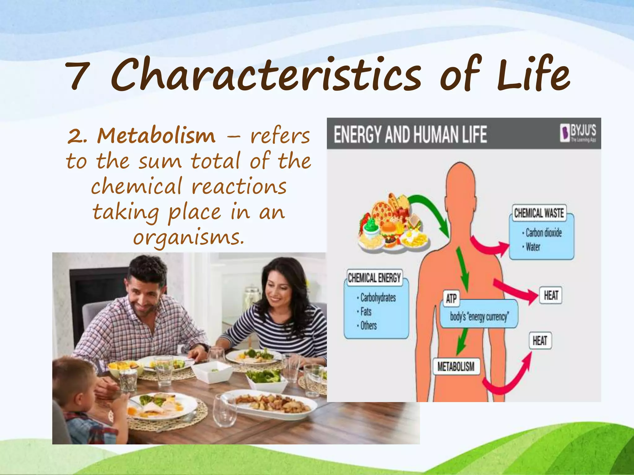 Introduction to life science | PPTX