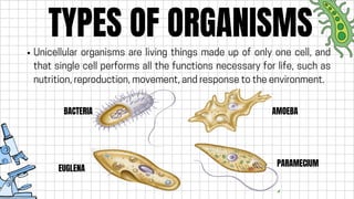 INTRODUCTION TO LIFE SCIENCE GRADE 11.pdf