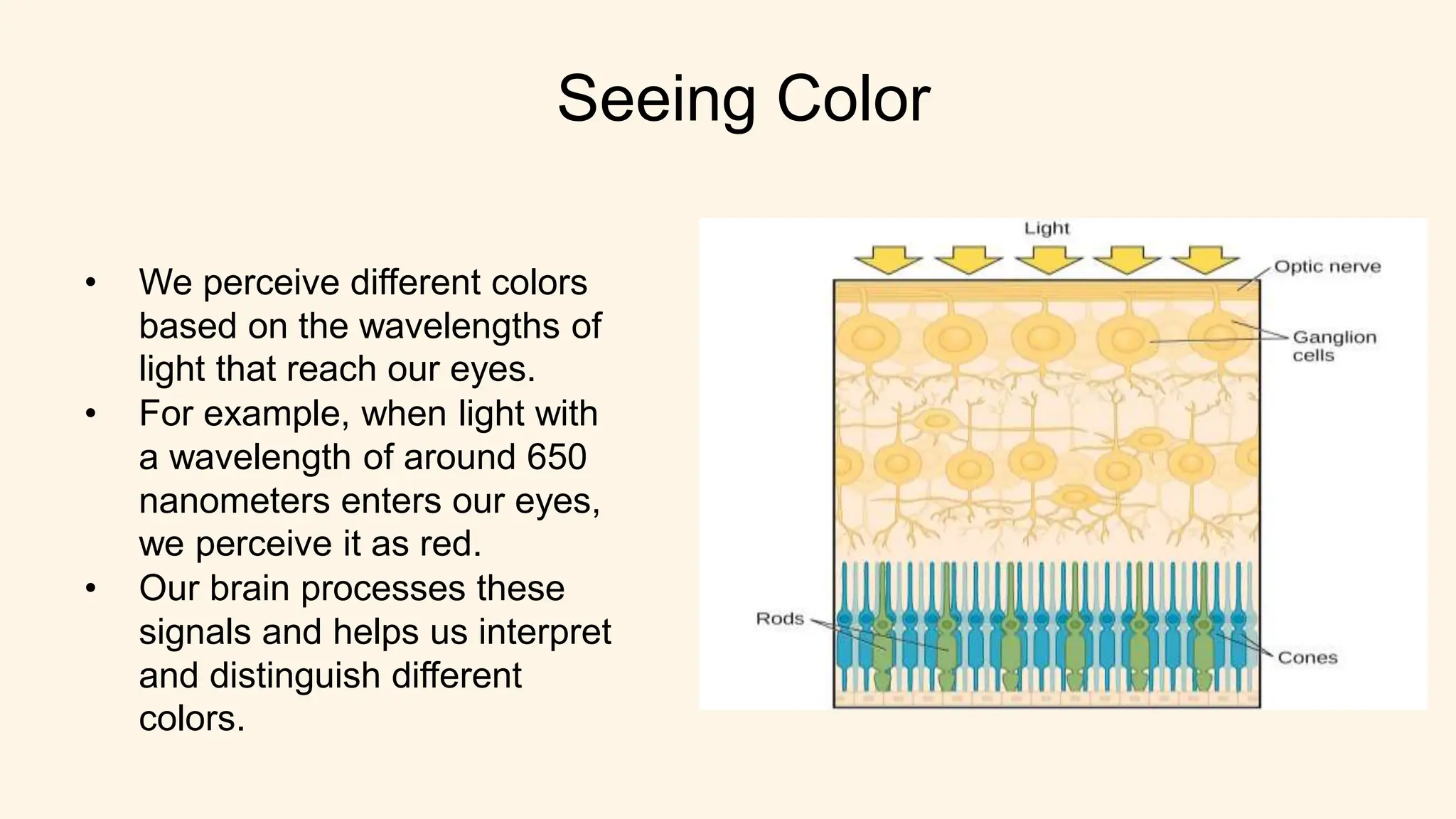 Introduction to Light.pptx | Eye and Vision Conditions | Diseases and ...