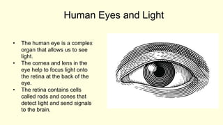 Introduction to Light.pptx