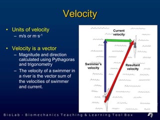Introduction to Linear Kinematics.ppt | Running and Jogging | Fitness ...