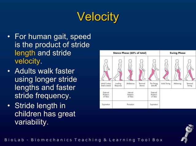 Introduction To Linear Kinematics Ppt Running And Jogging Fitness And Exercise