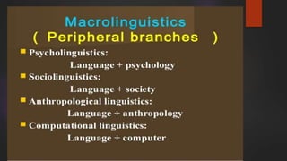 Introduction to Linguistics | PPTX