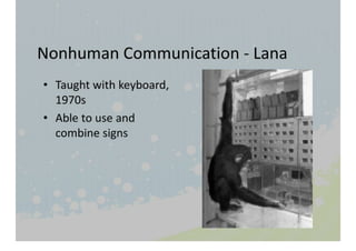 Introduction To Linguistics | PPT