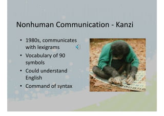 Introduction To Linguistics | PPT