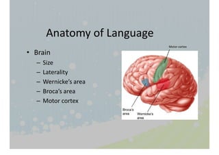 Introduction To Linguistics | PPT