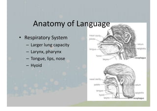 Introduction To Linguistics | PPT