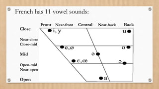 Introduction to linguistics french | PPTX