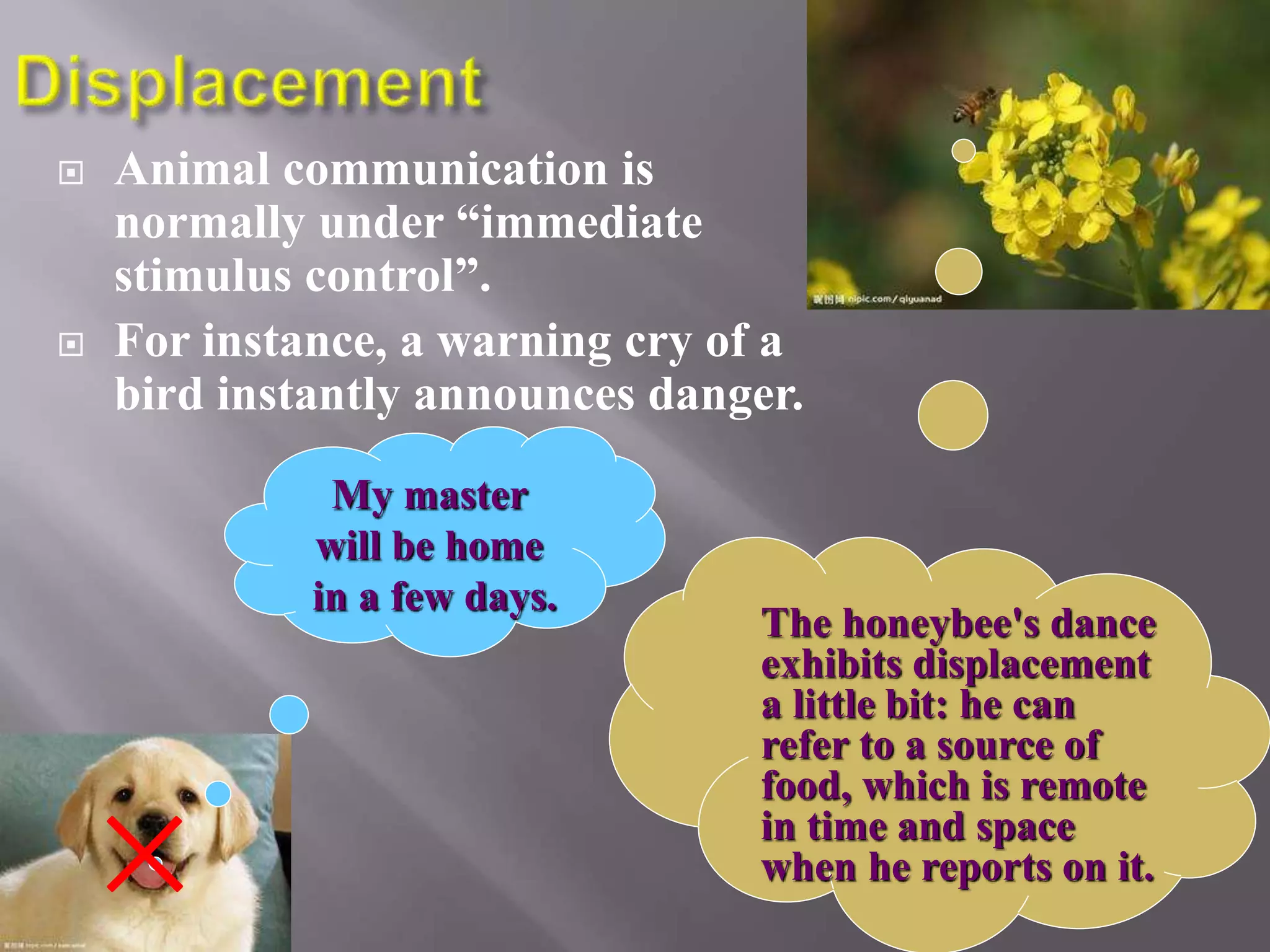 Introduction To Linguistics Lecture 1ppt