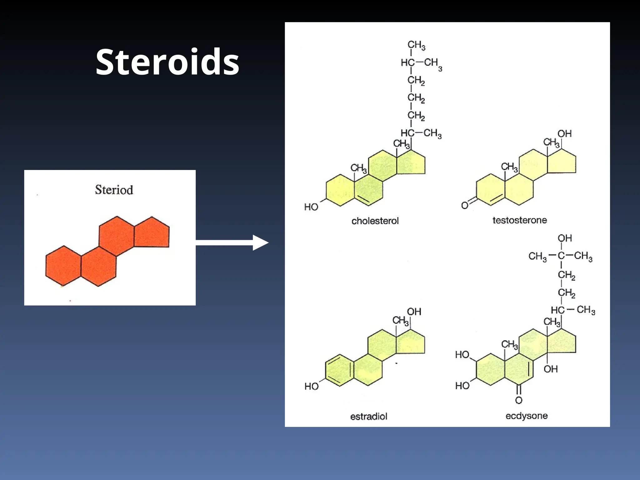 INTRODUCTION TO LIPIDS..ppt biochemistry | PPT