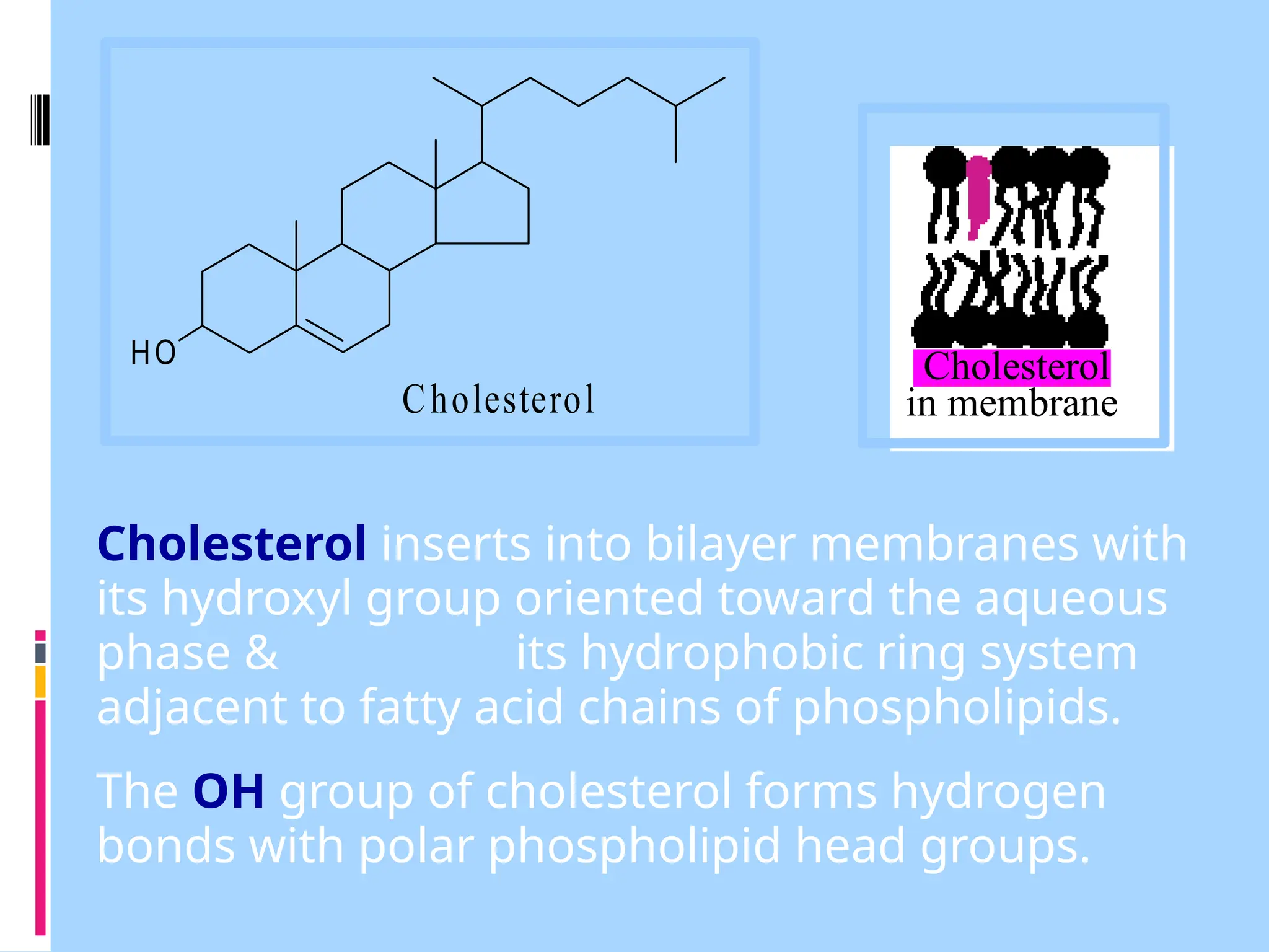 INTRODUCTION TO LIPIDS..ppt biochemistry | PPT
