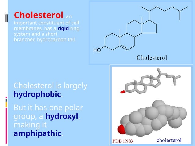 INTRODUCTION TO LIPIDS..ppt biochemistry | PPT