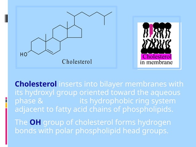INTRODUCTION TO LIPIDS..ppt biochemistry | PPT