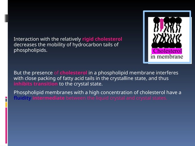 INTRODUCTION TO LIPIDS..ppt biochemistry | PPT