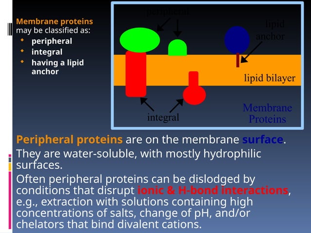 INTRODUCTION TO LIPIDS..ppt biochemistry | PPT