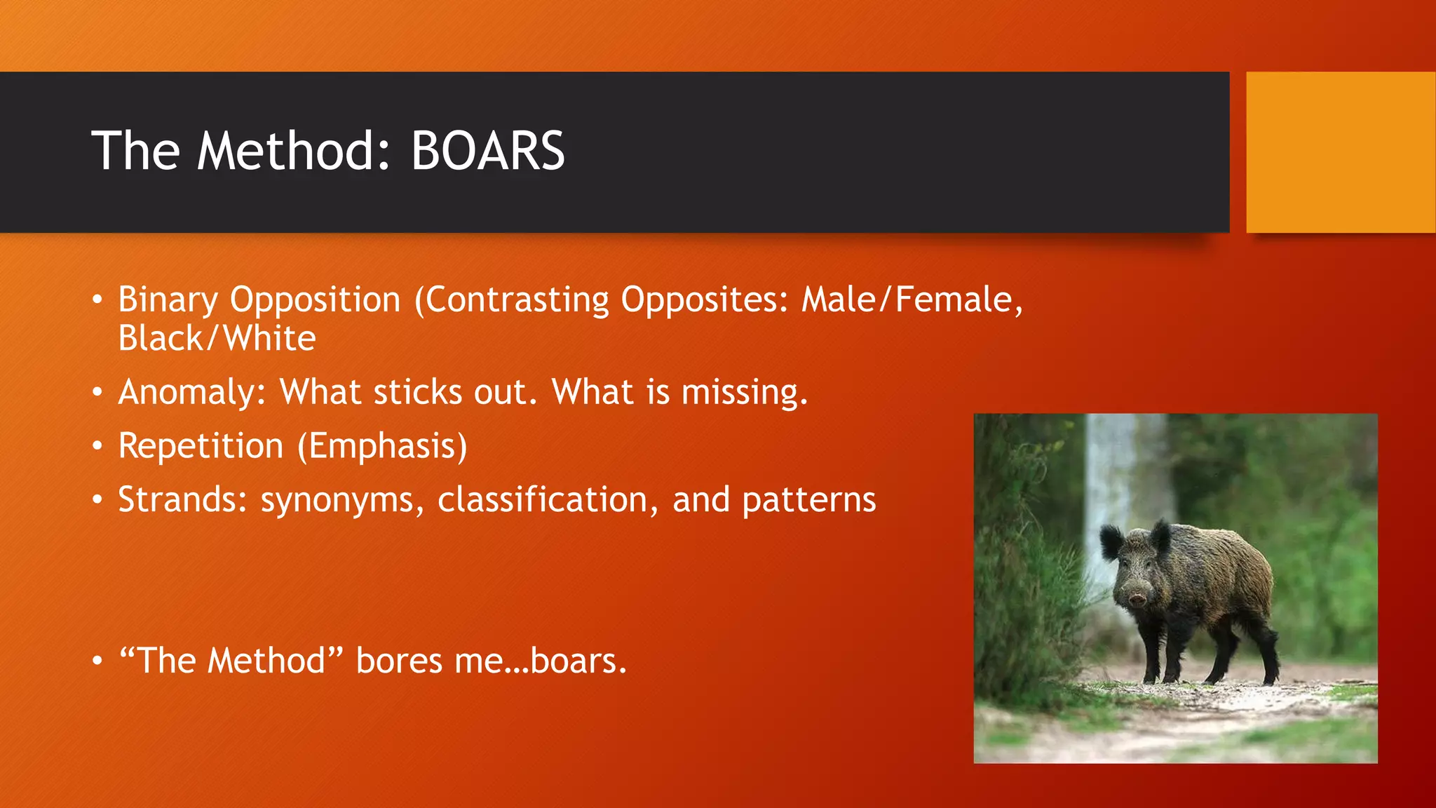 Introduction to literary analysis | PPTX