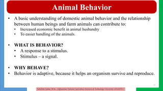 Introduction to livestock housing and shelter management | PDF