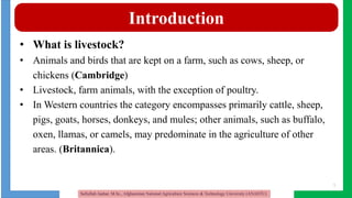 Introduction to livestock housing and shelter management | PPT | Free ...