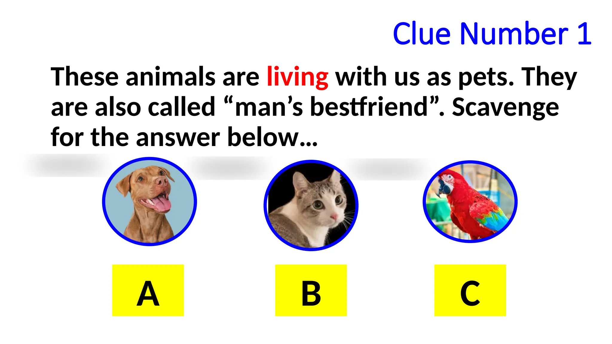 Introduction to Living Things Humans.pptx