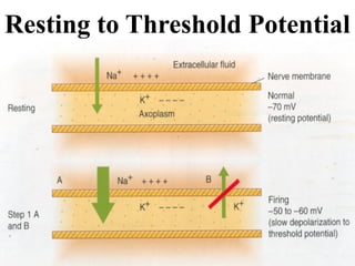 INTRODUCTION to LOCAL ANESTHESIA and NEUROPHYSIOLOGY.pptx