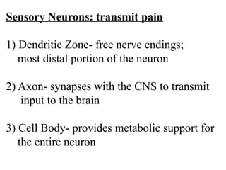 INTRODUCTION to LOCAL ANESTHESIA and NEUROPHYSIOLOGY.pptx