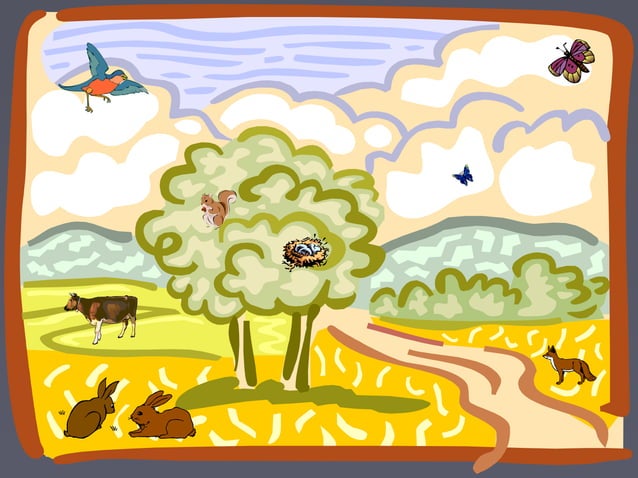 Introduction to marine ecosystems | PPT