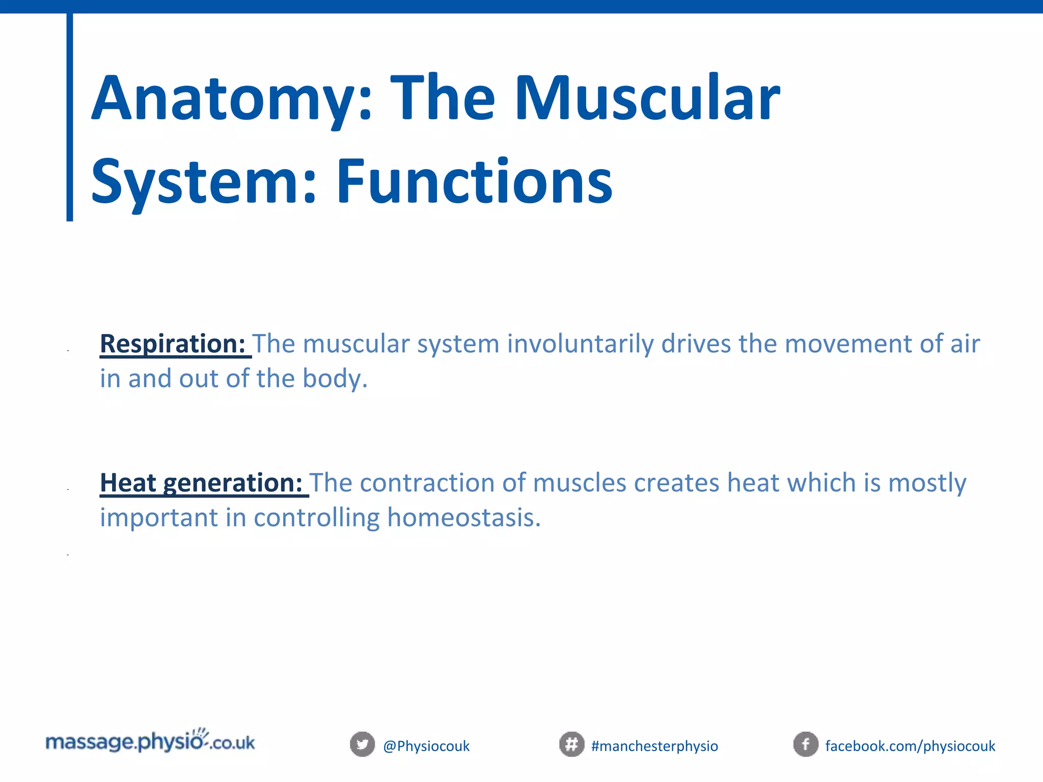 Introduction to Massage Therapy Presentation | PPTX