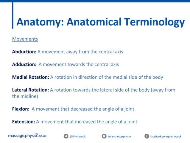 Introduction to Massage Therapy Presentation | PPTX | Physical Therapy ...