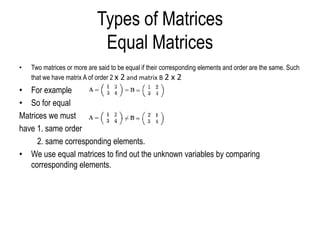 Introduction to matices | PPTX
