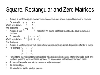Introduction to matices | PPTX