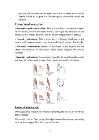 Introduction to maual muscle test(1).pdf