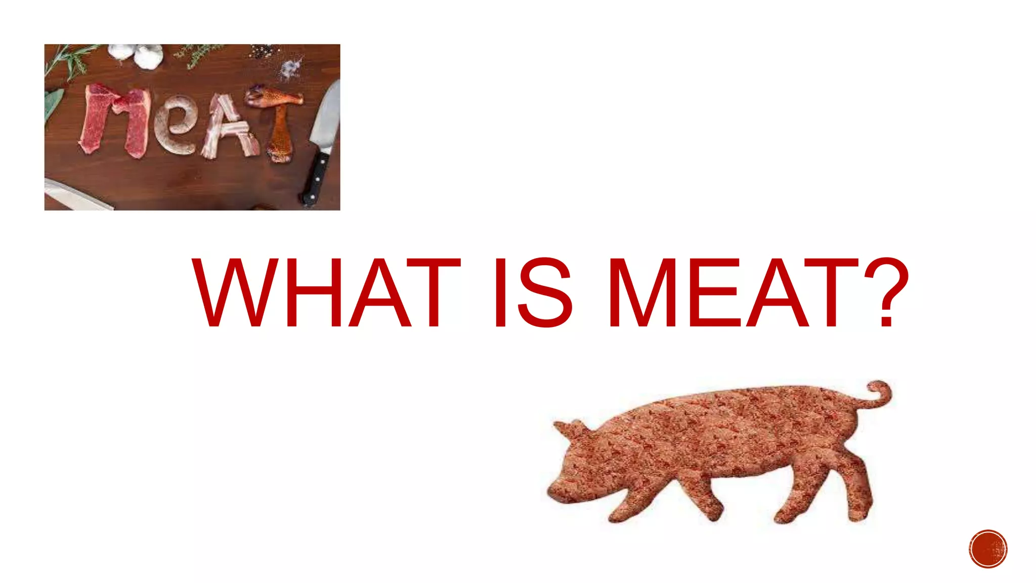 Introduction to meat | PPTX
