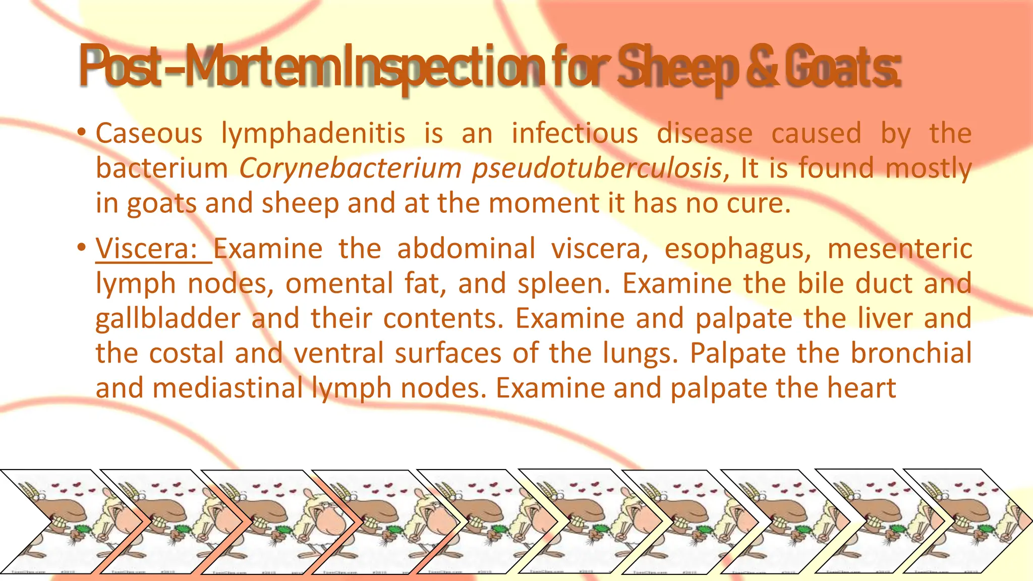 Introduction to Meat Science and Technology | PPTX