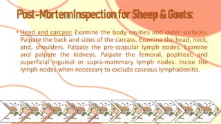 Introduction to Meat Science and Technology | PPTX