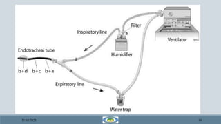 introduction to mechanical ventilator.pptx