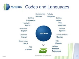 Introduction to MedDRA. a regulatory dictionary | PDF