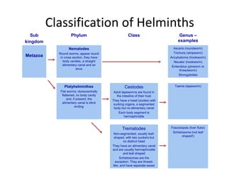 Introduction to medical parasitology | PPTX
